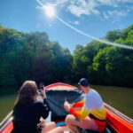 Bentota River Safari: Discover Wildlife & Mangroves by Boat - What to Expect from Your Bentota River Safari