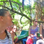 Bentota River Safari with Mangrove and Wildlife Encounter - What to Expect on Your Bentota River Safari