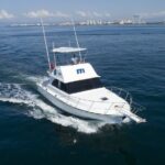 Bertram 38' Convertible Boat in Puerto & Nuevo Vallarta - Watersports and Activities