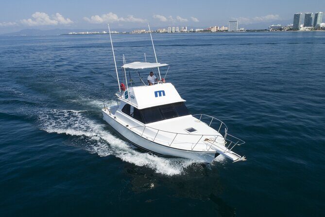 Bertram 38' Convertible Boat in Puerto & Nuevo Vallarta - Watersports and Activities