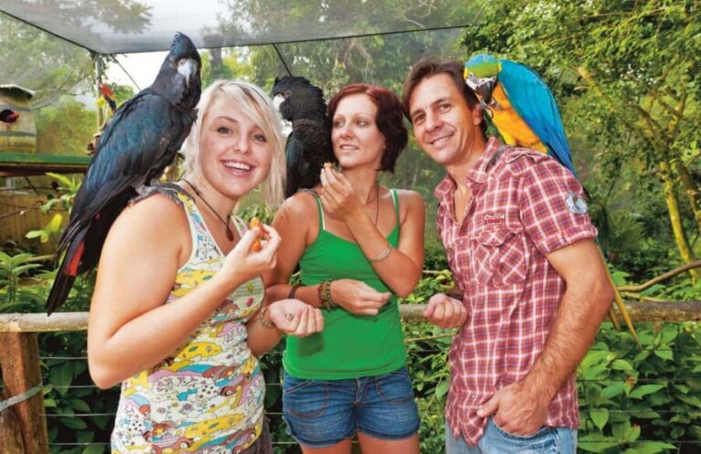 Bespoke Birdworld - An Intimate Experience! - A Detailed Breakdown of the Tour