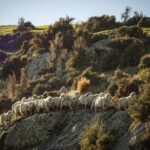 Bespoke Guided High Country Hiking - Gear, Pricing, and Practicalities