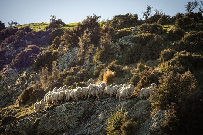 Bespoke Guided High Country Hiking - Gear, Pricing, and Practicalities