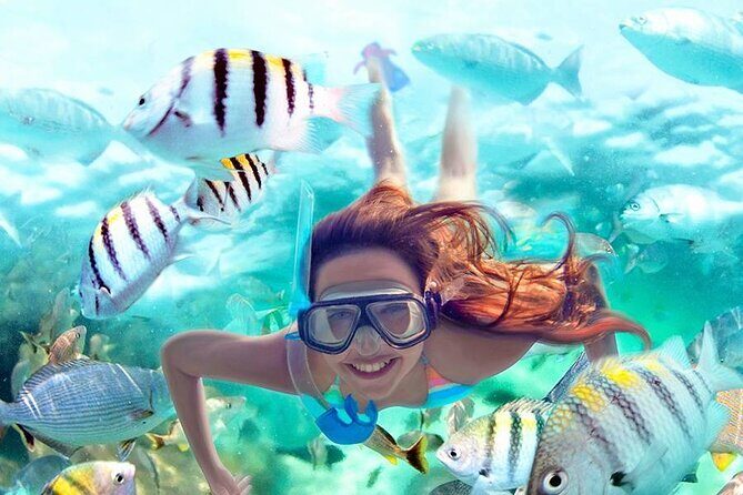 Best half-day snorkel tour: visit Kaan Luum, Yalku & Cenote - Authentic Experiences and Practical Details