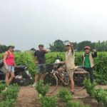 Best Hanoi Motorbike Tour: Local Guide, City Center & Countryside - Who Is This Tour For?
