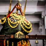 Best of Bangalore Private Tour - The Experience in Practice