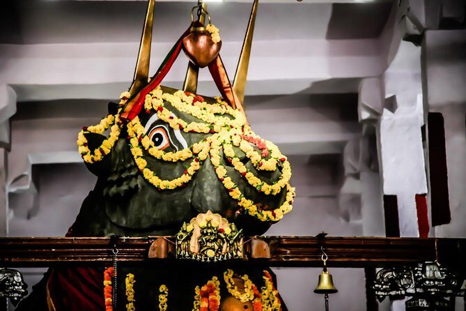 Best of Bangalore Private Tour - The Experience in Practice