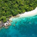 Best of Fitzroy Island Day Tour - Picnic Lunch and Relaxation