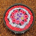 Best of Kerala - Who Should Consider This Tour?