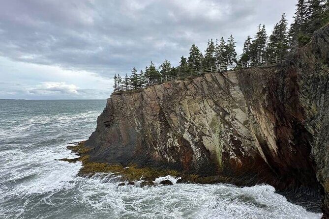 Best of Nova Scotia: Full-Day Private Luxury Tour - An Introduction to the Tour Experience