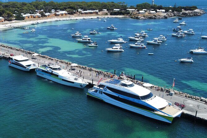 Best of Rotto Self-Guided Tour with Bike and Lunch - Who Will Enjoy This Tour?
