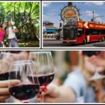 Best of SF: Wine Country, Redwoods, and Hop-on Hop-off Tour - What Makes This Tour Stand Out?