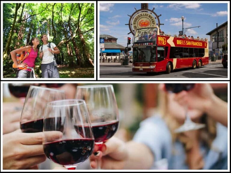 Best of SF: Wine Country, Redwoods, and Hop-on Hop-off Tour - What Makes This Tour Stand Out?