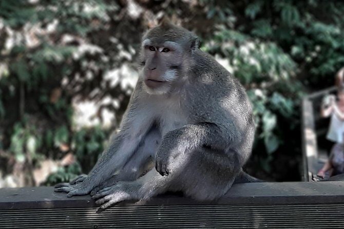 Best of Ubud - All Inclusive - What Travelers Are Saying