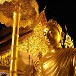 Best seller!! Amazing Night tour, Doi Suthep + Wat umong - Top Must visit! - Climbing Doi Suthep’s Iconic Steps