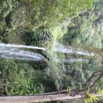 Best Sendang Gile and Tiu Kelep Waterfalls Tour - FAQs