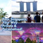 Best Singapore Private Customized Tour with a Local Guide - The Practicalities: Logistics & Tips