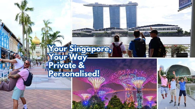 Best Singapore Private Customized Tour with a Local Guide - The Practicalities: Logistics & Tips