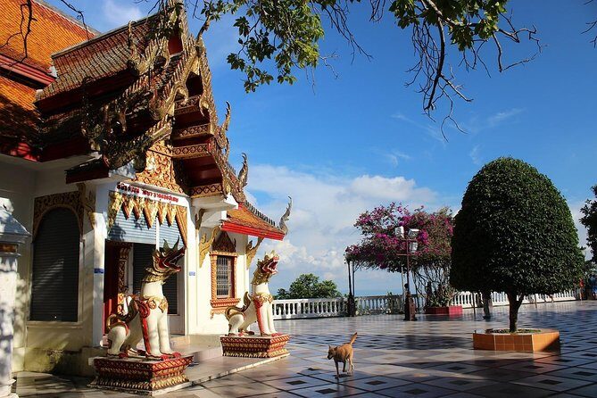 Best Six Chiang Mai Temple Tour + Doi Suthep Including Lunch (Minimum 2 pax) - Breaking Down the Itinerary: What You’ll See and Why It Matters