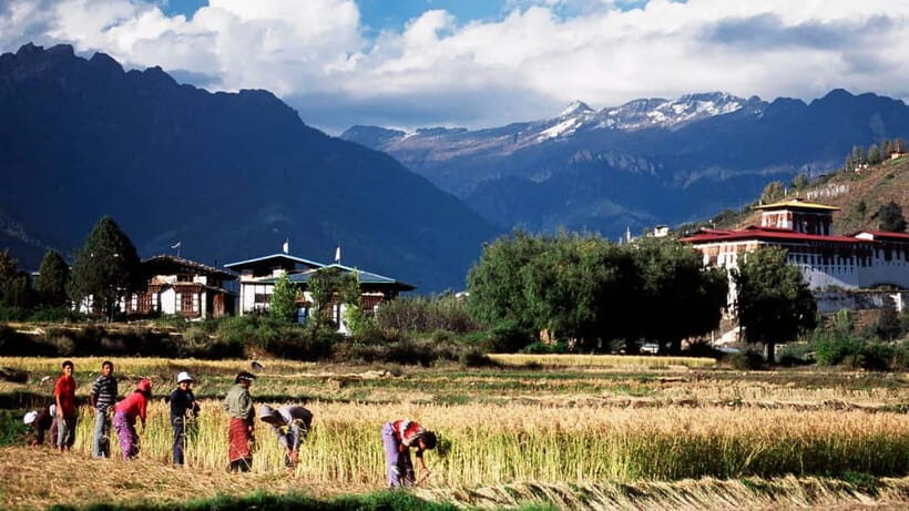 Bhutan Glimpse - Detailed Breakdown: What the Itinerary Offers