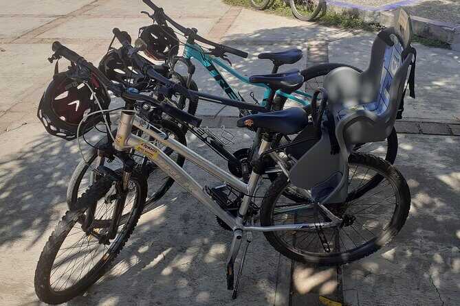 Bicycle Tour in Ixtapa - Encountering Wildlife at Playa Linda