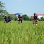 Bicycle Tours Hanoi: Full Day Bicycle Tours City & Countryside - Practical Details
