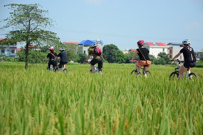 Bicycle Tours Hanoi: Full Day Bicycle Tours City & Countryside - Practical Details