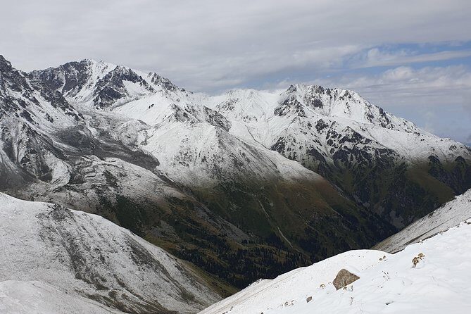 Big Almaty Lake and City Private Tour - Authentic Experiences and Traveler Feedback