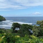 Big Island Full Circle with Volcanoes and Akaka Falls Tour - Who Will Love This Tour?