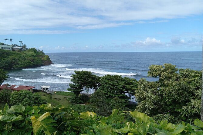 Big Island Full Circle with Volcanoes and Akaka Falls Tour - Who Will Love This Tour?