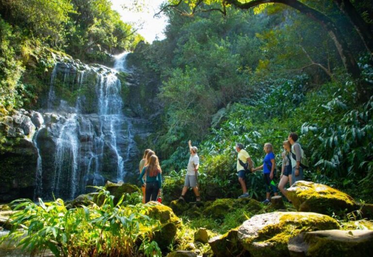 Big Island: Full Day Adventure Tour of the Kohala Waterfalls - Final Thoughts