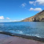 Big Island: Hilo to Kona Day Tour with Tastings - For Whom Is This Tour Best?