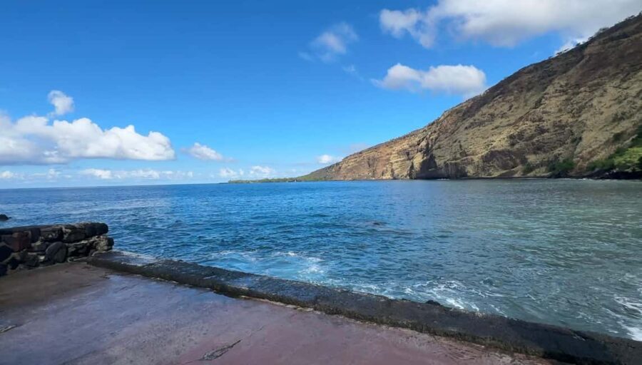 Big Island: Hilo to Kona Day Tour with Tastings - For Whom Is This Tour Best?