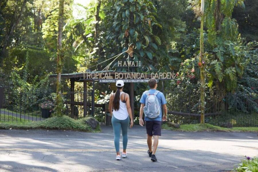 Big Island: Waterfall Tour with Swimming & Botanical Garden - Practical Details & What to Expect