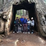 Big Trees Hike & Riverside Cookout Adventure - The Experience: Value, Comfort, and Authenticity