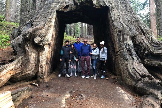 Big Trees Hike & Riverside Cookout Adventure - The Experience: Value, Comfort, and Authenticity