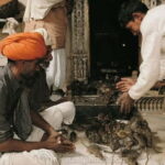 Bikaner: Karni Mata Temple Half-Day Guided Tour - Why the Price Matters