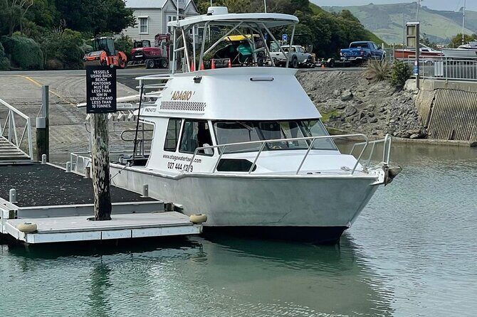 Bike Ferry Port Chalmers to Quarantine Island and Portobello, - Why This Experience Offers Good Value