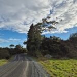 Bike Rental in Waitomo Caves - Why Consider this E-Bike Tour?