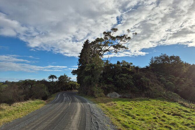 Bike Rental in Waitomo Caves - Why Consider this E-Bike Tour?