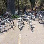 BIKE RIDE THROUGH ICONIC SITES OF THE CDMX / BREAKFAST & BEER - Breaking Down the Itinerary: What You’ll Experience