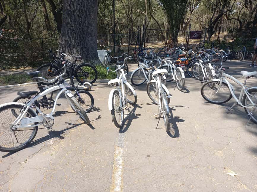 BIKE RIDE THROUGH ICONIC SITES OF THE CDMX / BREAKFAST & BEER - Breaking Down the Itinerary: What You’ll Experience