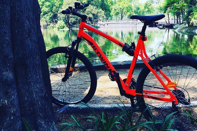Bike Tour in Mexico City - A Deep Dive into the Experience
