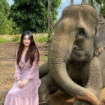 Bintan Safari Lagoi Tour - The Detailed Breakdown of the Itinerary