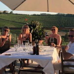 Biodynamic Wine Tasting with Producer in Vinci - The Tasting Sitting: What You Can Expect