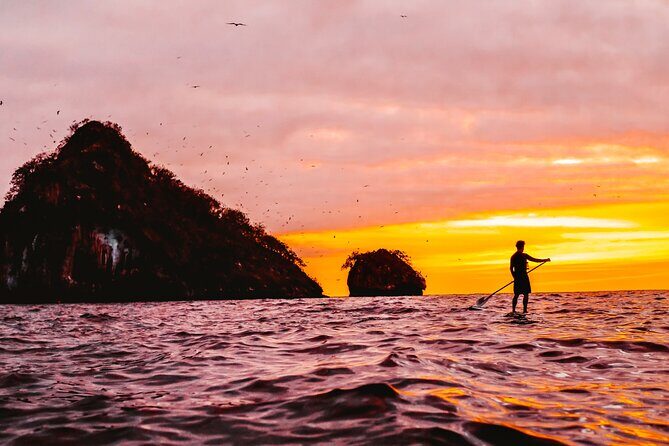 Bioluminescence by kayak or SUP to Los Arcos Puerto Vallarta - Who Will Love This Tour?