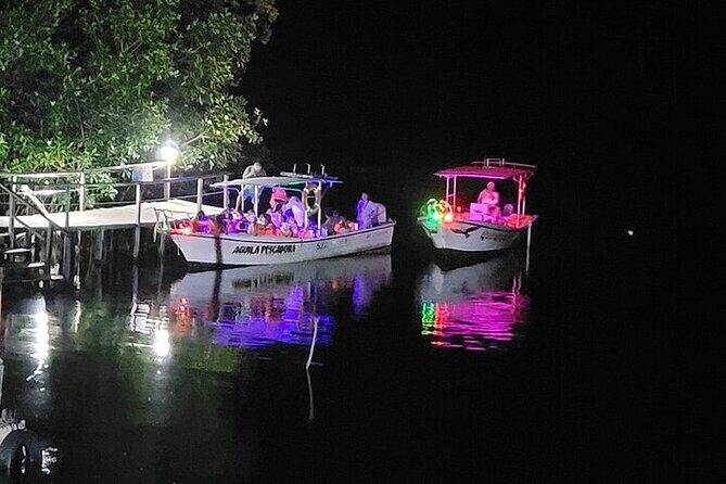 Bioluminescence in Manialtepec Night Tour from Huatulco - What Makes This Tour Special