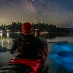 Bioluminescence Kayak Tour at Fort Flagler State Park - Who Should Consider This Tour?