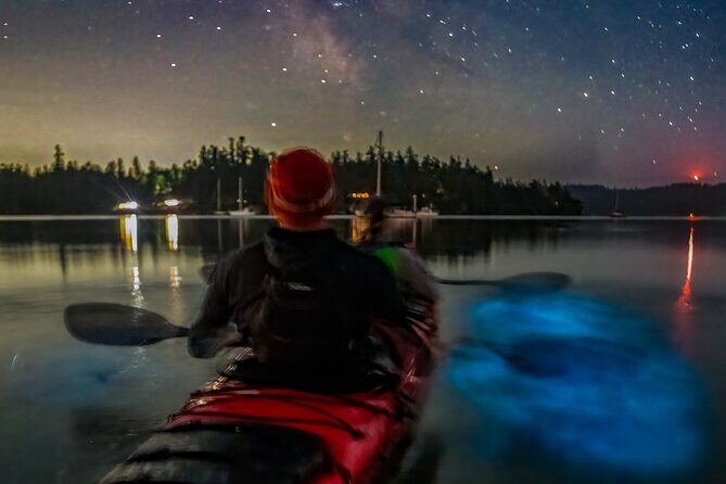 Bioluminescence Kayak Tour at Fort Flagler State Park - Who Should Consider This Tour?