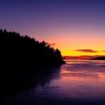 Bioluminescence Night Paddle - An Introduction to the Bioluminescence Night Paddle